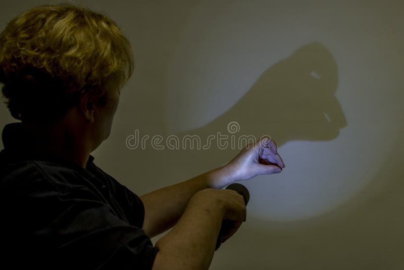 Woman Making Animal Shadow Figure Stock Photo - Image of shadow, hand ...