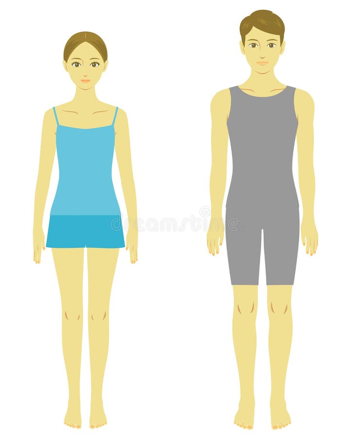 Woman and man body, model stock vector. Illustration of hips - 54394138