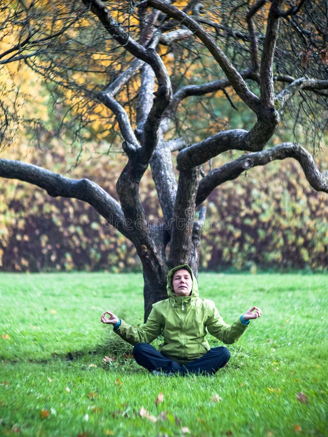 Woman Meditating Near a Tree Stock Image - Image of female ...