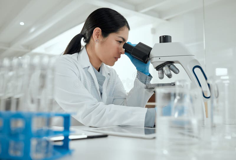 Woman, Microscope and Research in Lab for Science, Observation and ...