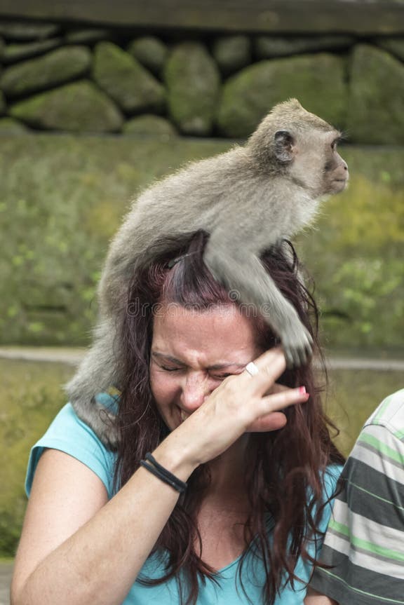 Macaques Monkey on Head of Laughing Woman Editorial Photography - Image ...