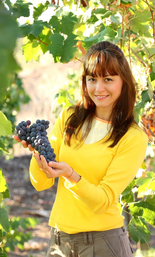 Woman Offering Grape in Vineyard Stock Photo - Image of nature, picker ...