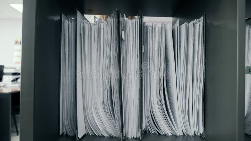 Woman in the Office Takes a Folder with Documents from the Document ...