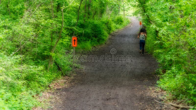 Woman Running on Path in Forest Stock Photo - Image of recreation ...
