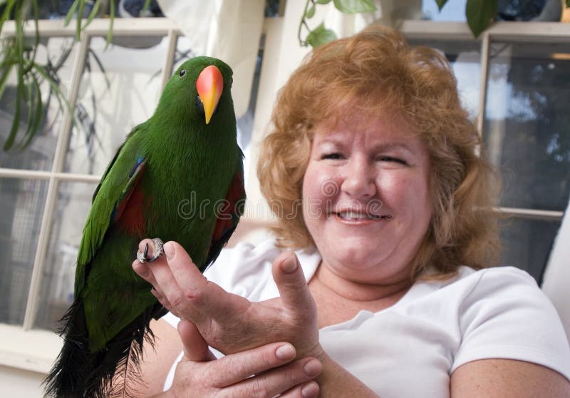Woman with parrot stock image. Image of friendly, avian - 858683
