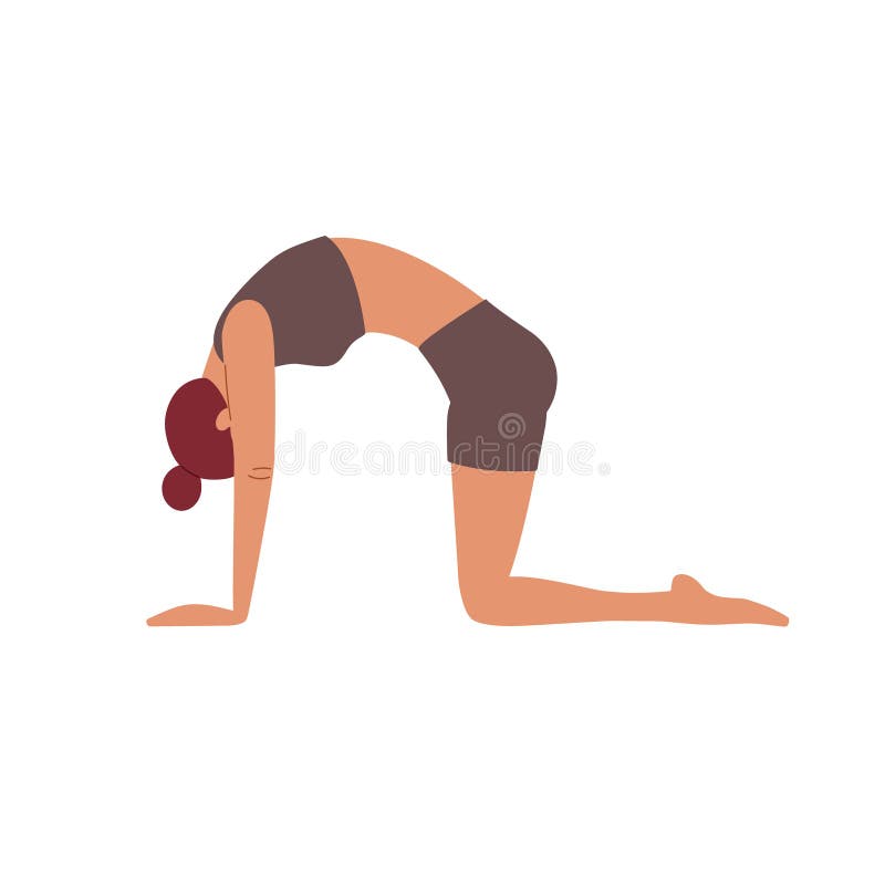 Woman Practicing the Cat Pose in a Yoga Studio during a Morning Session ...