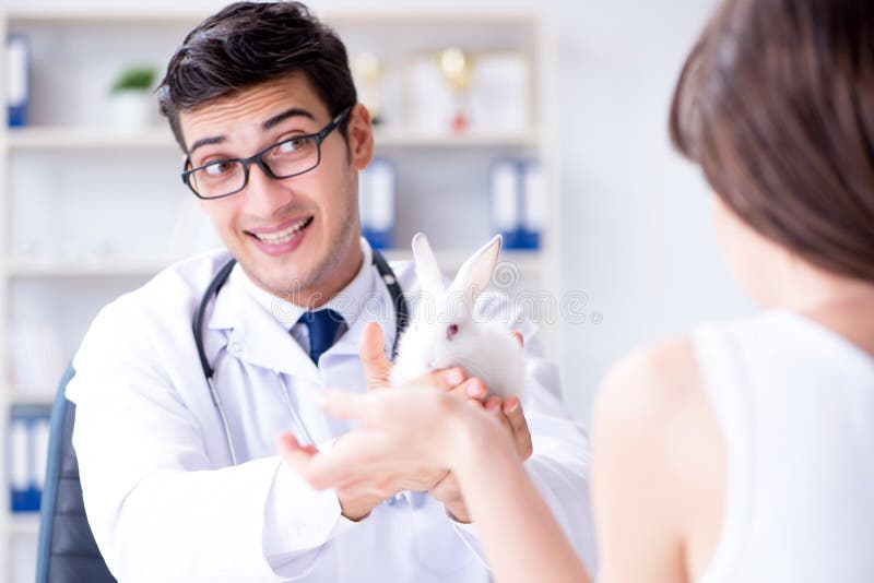 The Woman with Pet Rabbit Visiting Vet Doctor Stock Photo - Image of ...