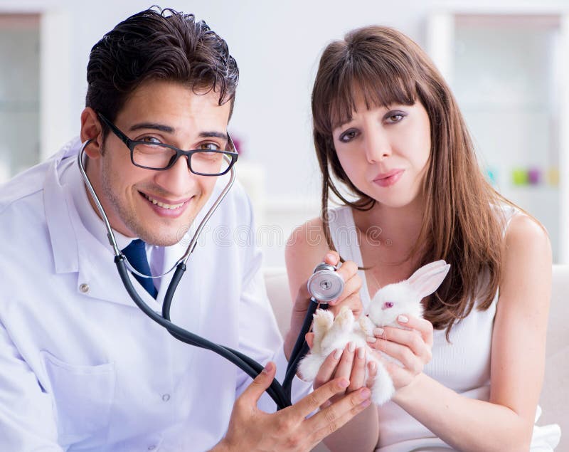 Woman with Pet Rabbit Visiting Vet Doctor Stock Image - Image of ...