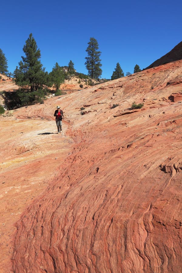 Woman Photographer in Search of Interesting Shots Stock Photo - Image ...