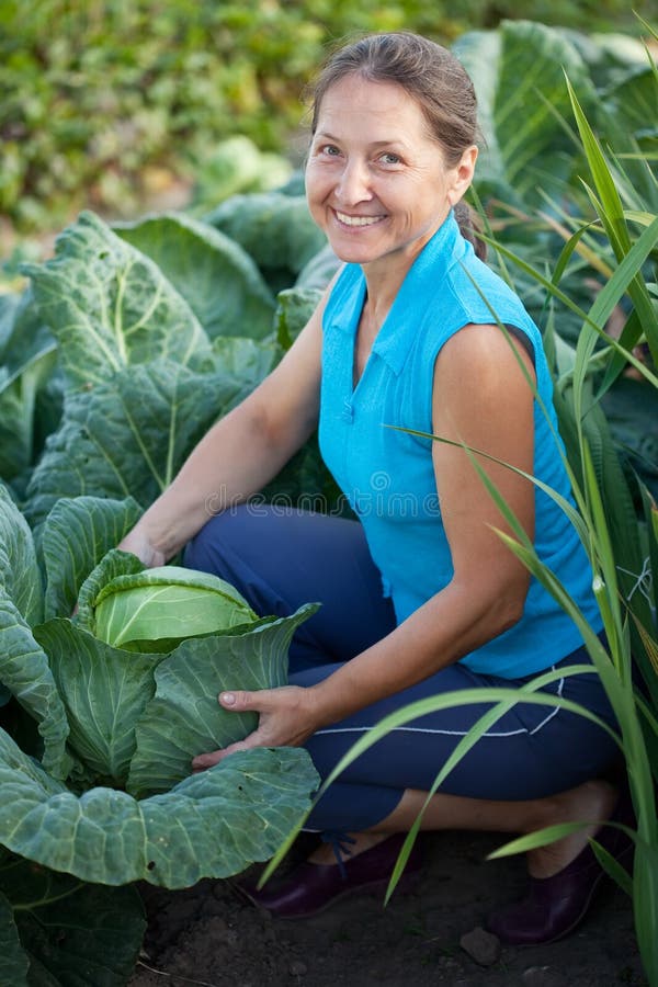 Woman in plant of cabbage stock image. Image of mature - 24165817