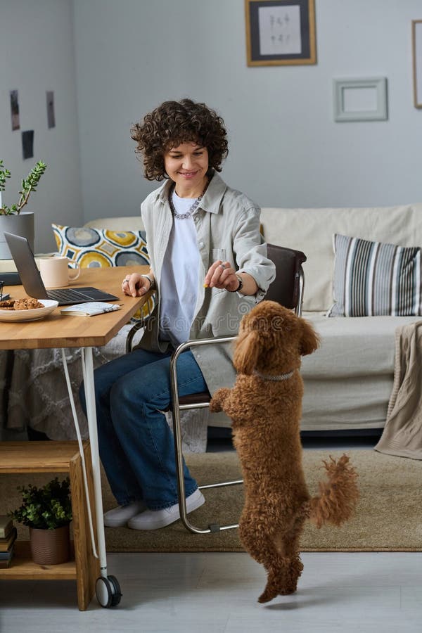 Woman Playing with Her Dog during Remote Work Stock Photo - Image of ...