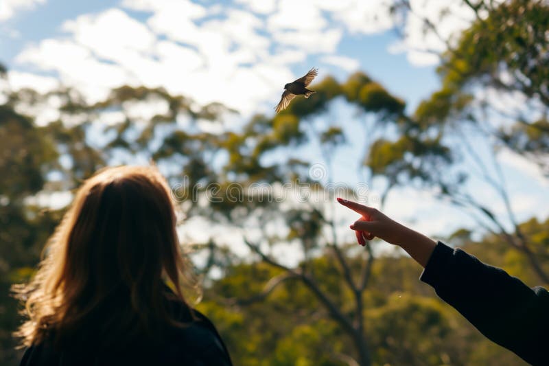 Woman Pointing at a Bird in the Distant Treetops Stock Illustration ...