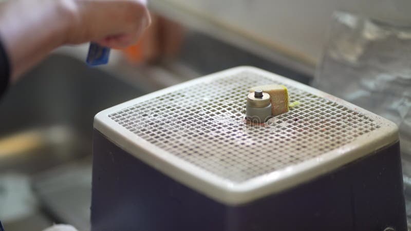 A woman polishing glass stock video. Video of indoors - 324982871