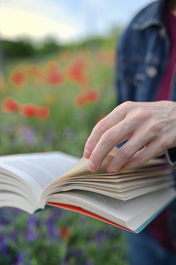 Woman in a Poppy Field Reading a Book Stock Image - Image of relaxation ...