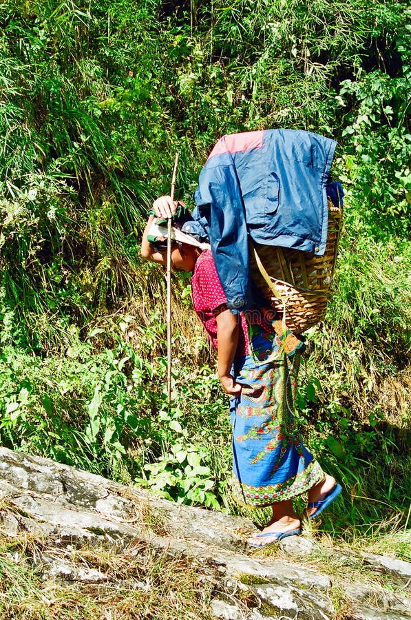 Women Porter Parade on a Himalayan Trail Editorial Stock Photo - Image ...