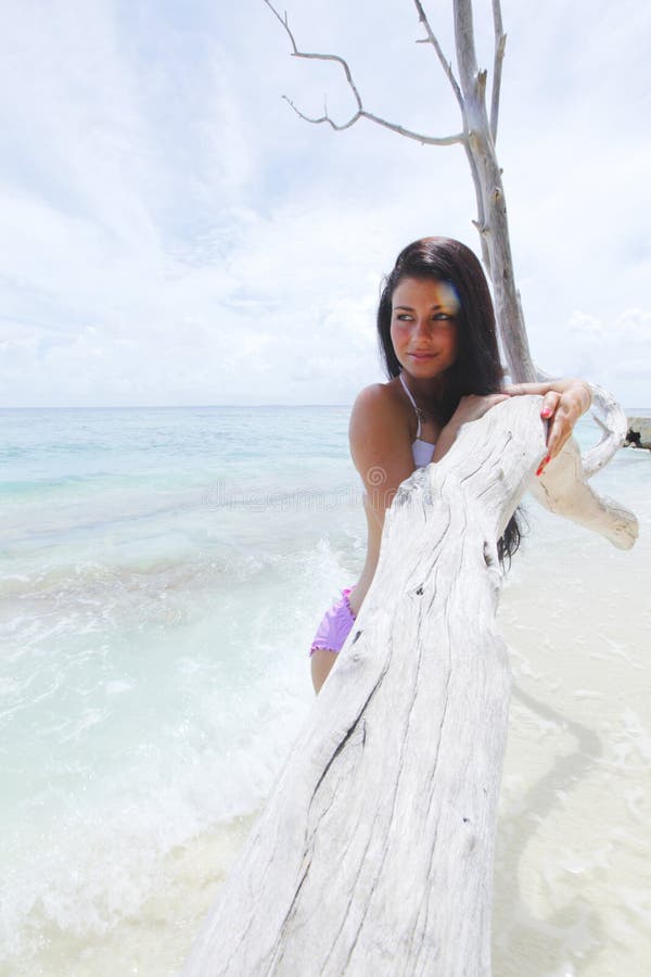 Woman portrait on beach stock image. Image of beauty - 29445337