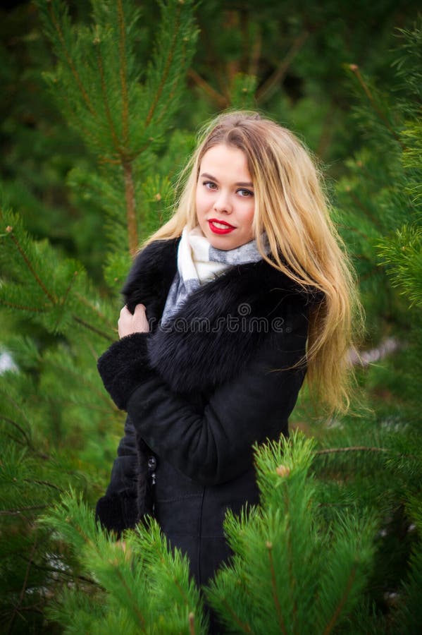Woman posing in pines stock image. Image of blond, beauty - 83801087