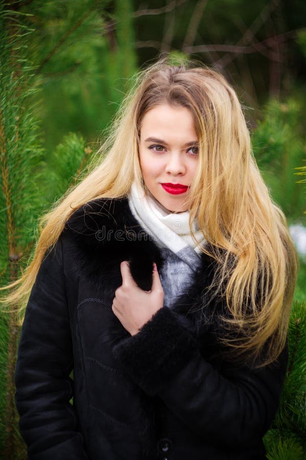 Woman posing in pines stock image. Image of elegance - 83794859