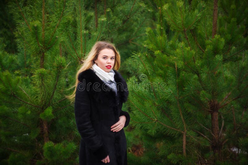 Woman posing in pines stock image. Image of green, black - 83796555