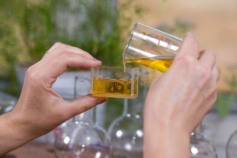 Woman Pours a Drop of Liquid in a Flask Stock Photo - Image of ...