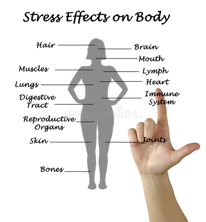 Stress effects on body stock photo. Image of hand, medicine - 109367308