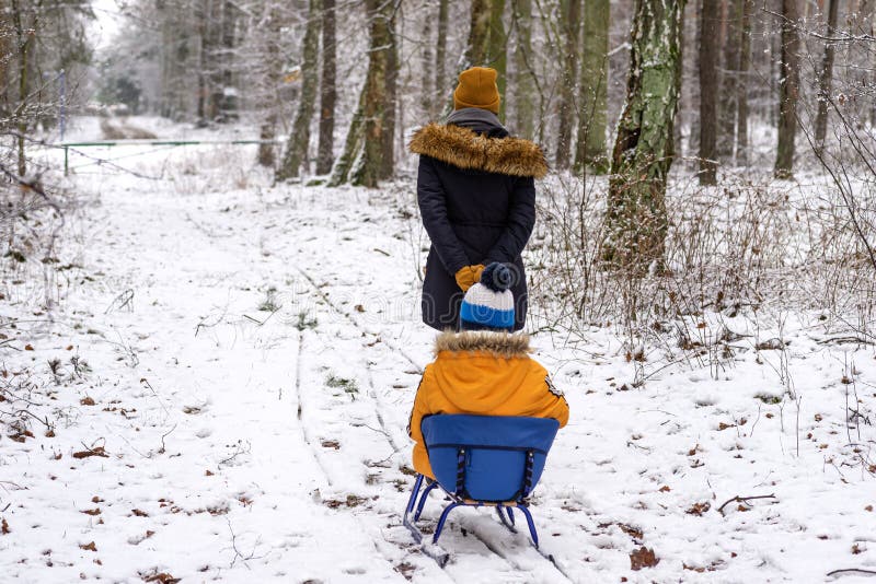 A Woman is Pulling a Boy on a Sled through the Snow in the Forest ...