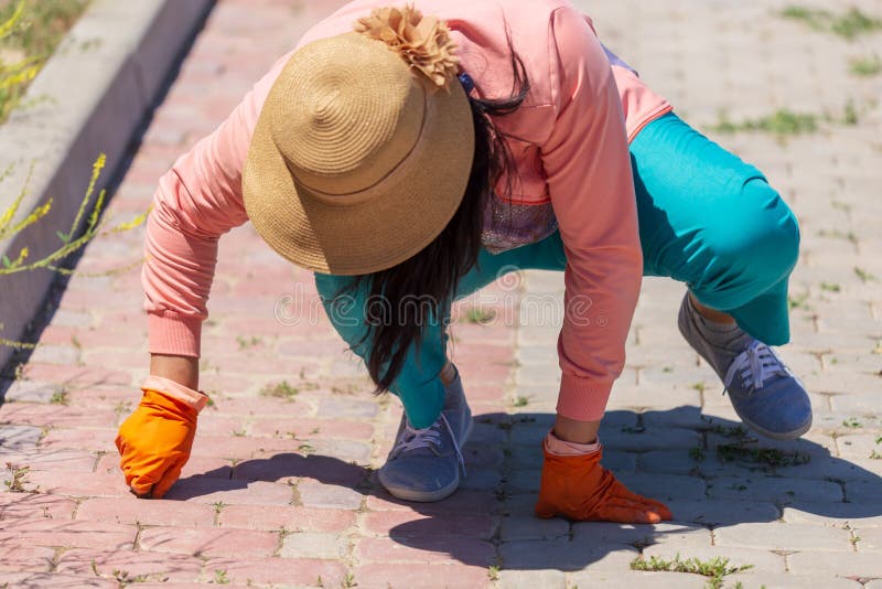Woman Pulling Grass on Pavement in Park Stock Image - Image of flower ...