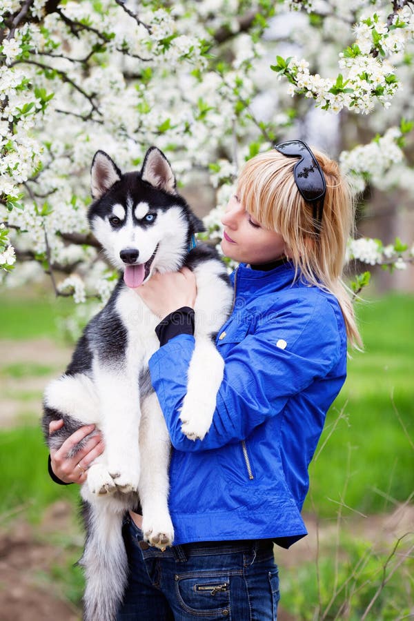 Woman with puppy husky stock photo. Image of cute, garden - 24465846