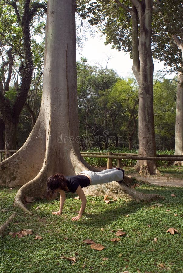 Woman In Push-Up Position Near Tree - Vertical Picture. Image: 5607766