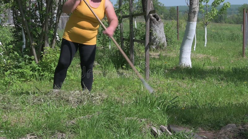 A Woman Rakes Dry Grass in the Yard with a Garden Rake. Stock Footage ...