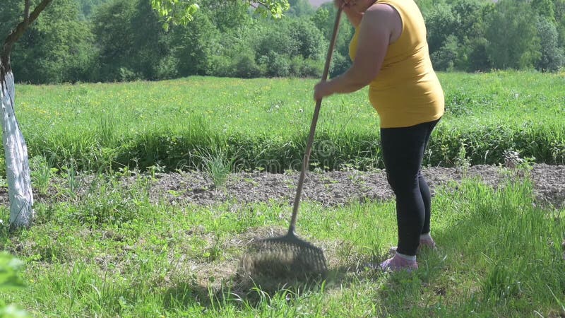 A Woman Rakes Dry Grass in the Yard with a Garden Rake. Stock Video ...
