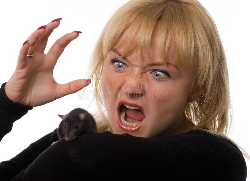 Woman Screaming Rodent Stock Photos - Free & Royalty-Free Stock Photos ...