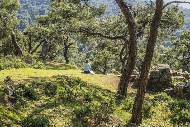 Woman Reading a Book in the Forest Stock Image - Image of pine, nature ...