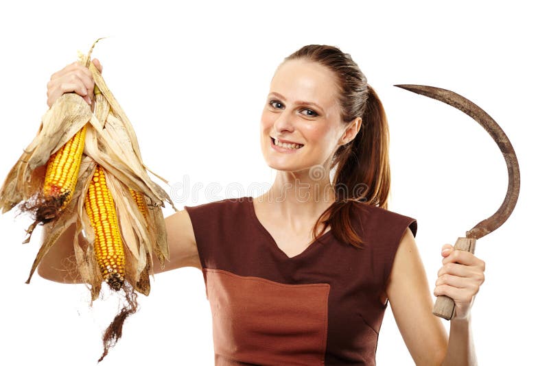 Woman reaping wheat stock image. Image of berber, agriculture - 14090725