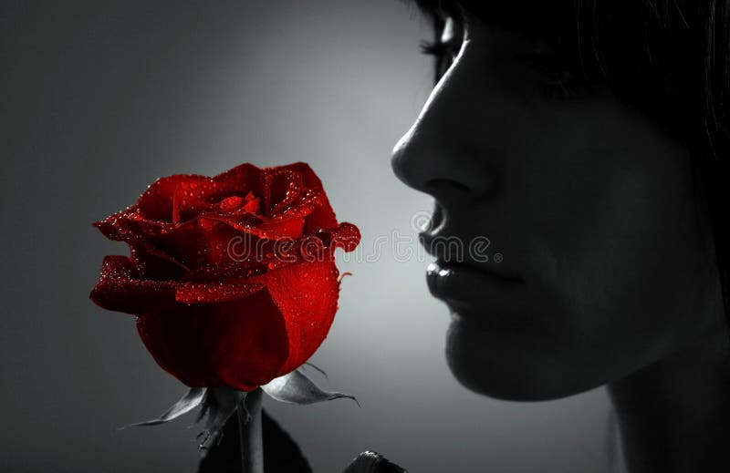 Woman with red rose stock photo. Image of female, portrait - 14275680