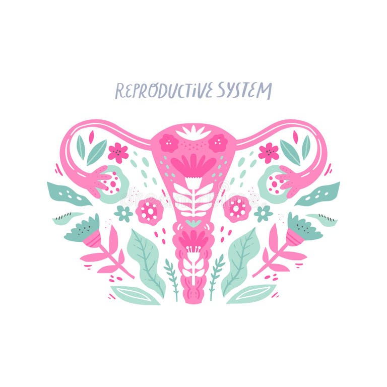 Cartoon Female Reproductive System Stock Illustrations 1 009 Cartoon