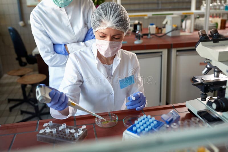 Woman Researcher Operating with Microbilogy Samples Stock Image - Image ...