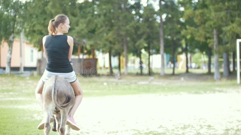 A Woman Riding a Donkey in the Stables Stock Video - Video of creature ...