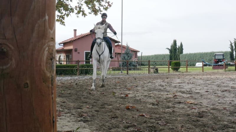 Woman Riding Horse in Slow Motion. Stock Video - Video of outdoors ...