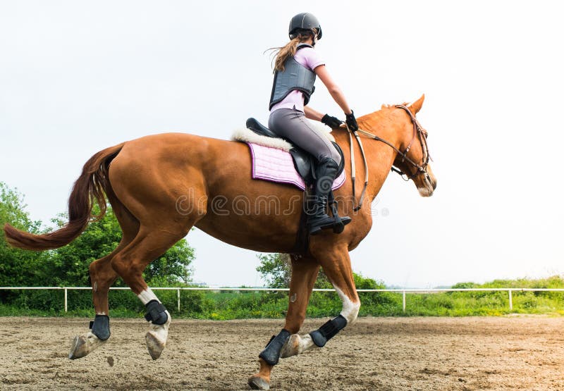 Woman riding a horse stock photo. Image of sport, breed - 304515274