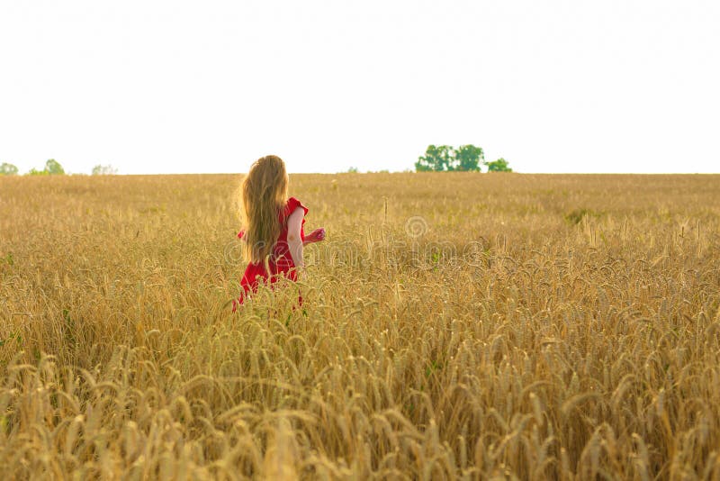 Woman run on wheat field stock photo. Image of inspiration - 93927090