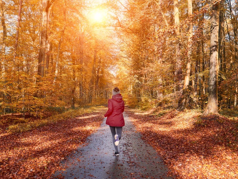 Woman Running and Training in Fall Nature Stock Image - Image of ...