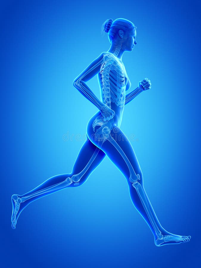 Anatomy Of Running