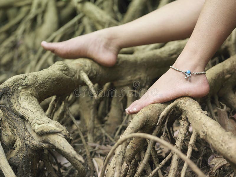 Bare feet on branch stock image. Image of climbing, toes - 40338969