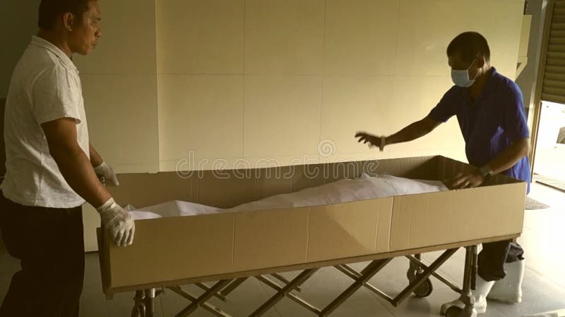 Woman`s Corpse Placed Inside Cremation Chamber Stock Footage - Video of ...