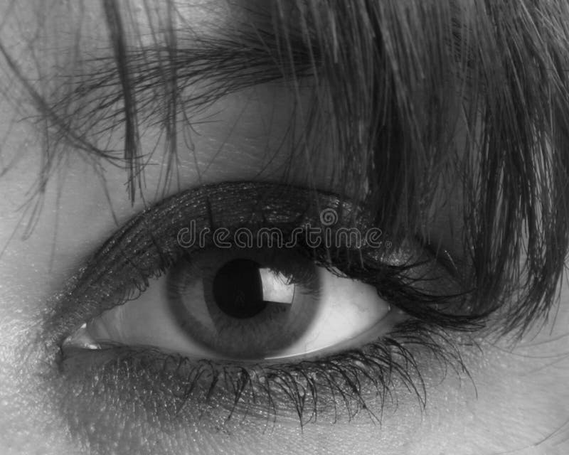 Woman s eye stock photo. Image of face, beauty, people - 210844