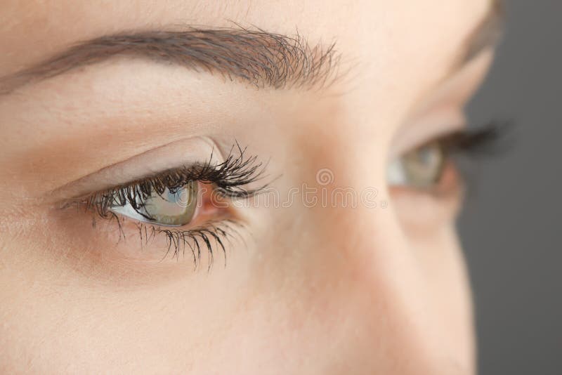Eye Close Up - Brown Eyes Looking To Side on White Stock Photo - Image ...