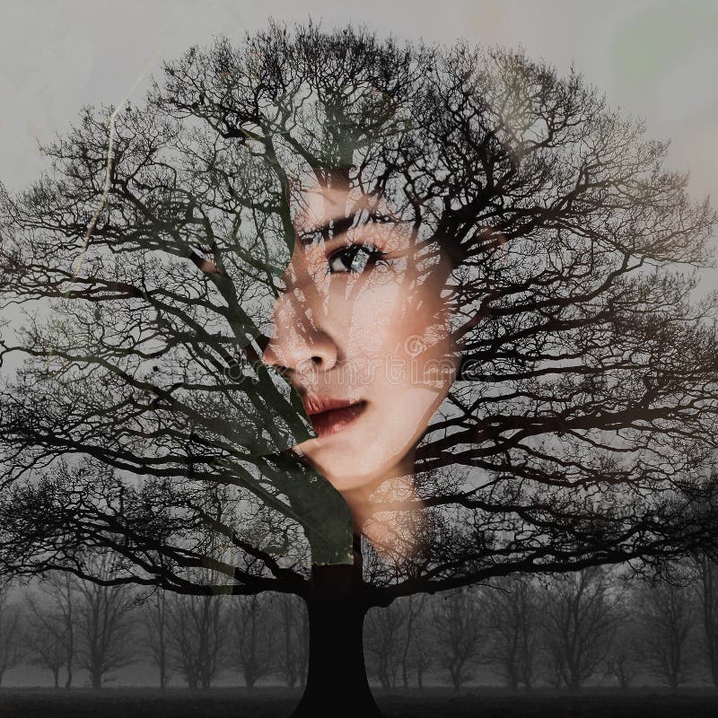 Woman S Face With Bare Tree Artwork Stock Image - Image of girl ...