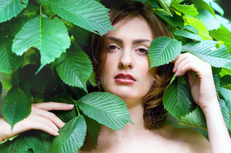 Woman S Face among the Leaves Stock Image - Image of green, perfection ...