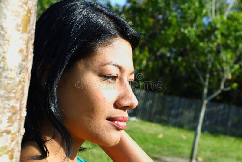 Camera And The Sun - Face To Face Picture. Image: 735437